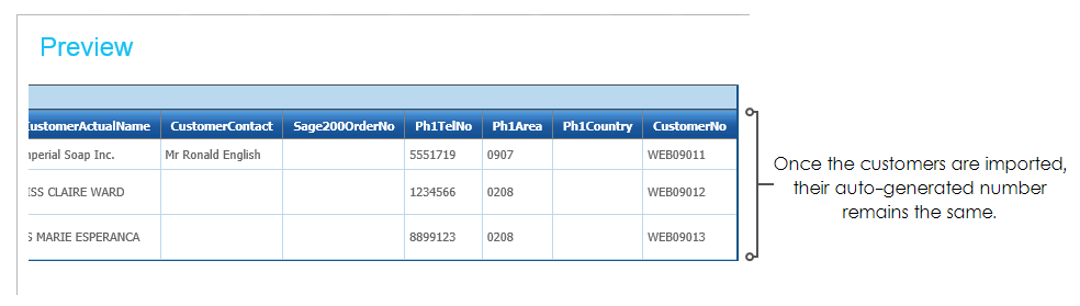 Customer import | Sage200 Training | Realisable