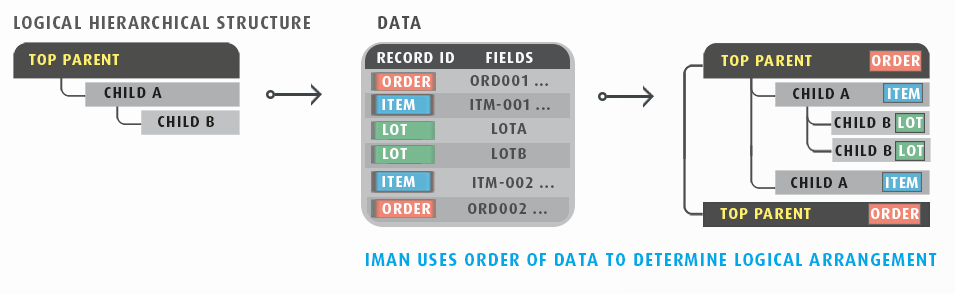 Hierarchical data | IMan User Guide | Realisable